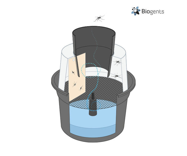BG-GAT Passive Mosquito Trap | Effective Double Set | Biogents